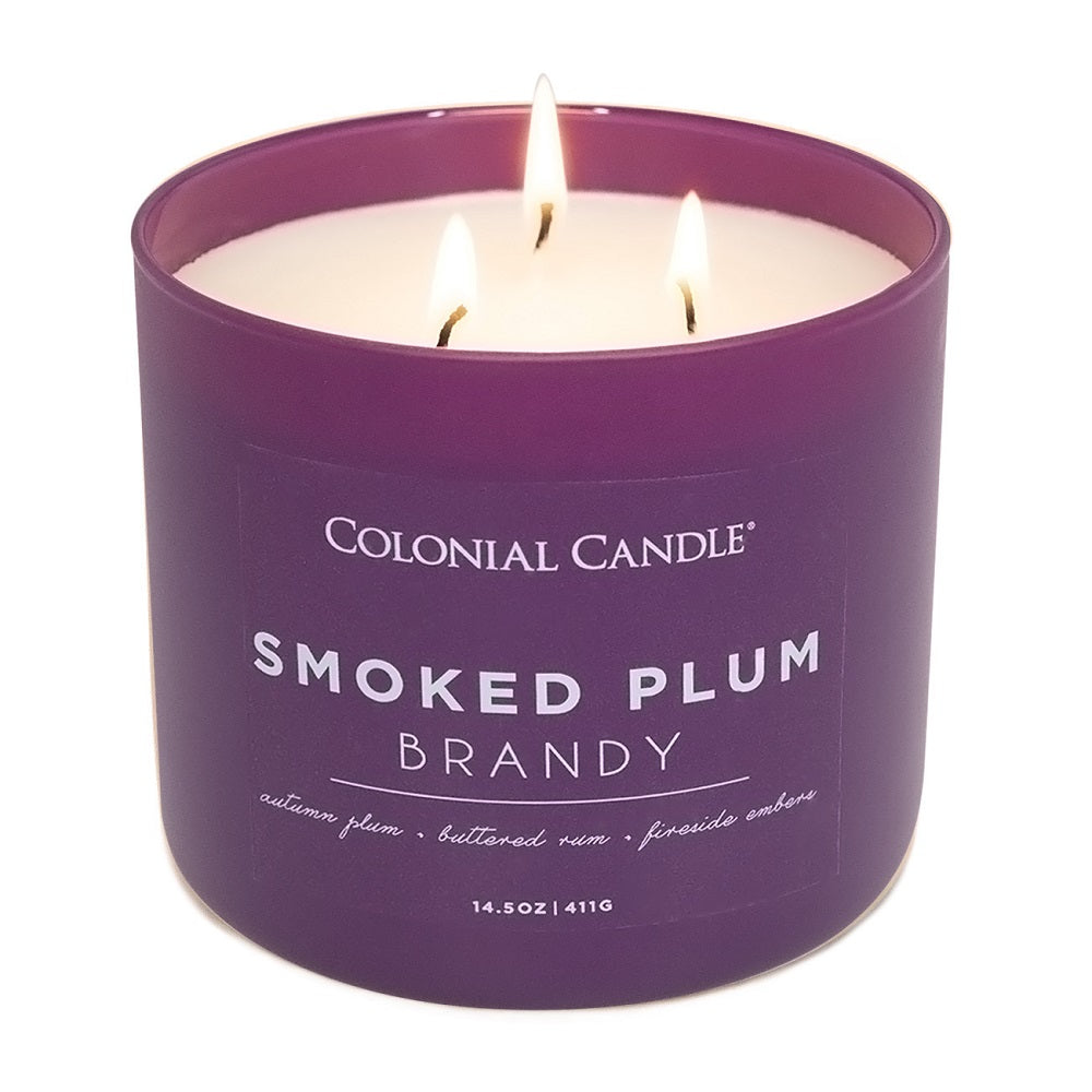Smoked Plum Brandy Candle in Pop of Color Collection by Colonial Candle