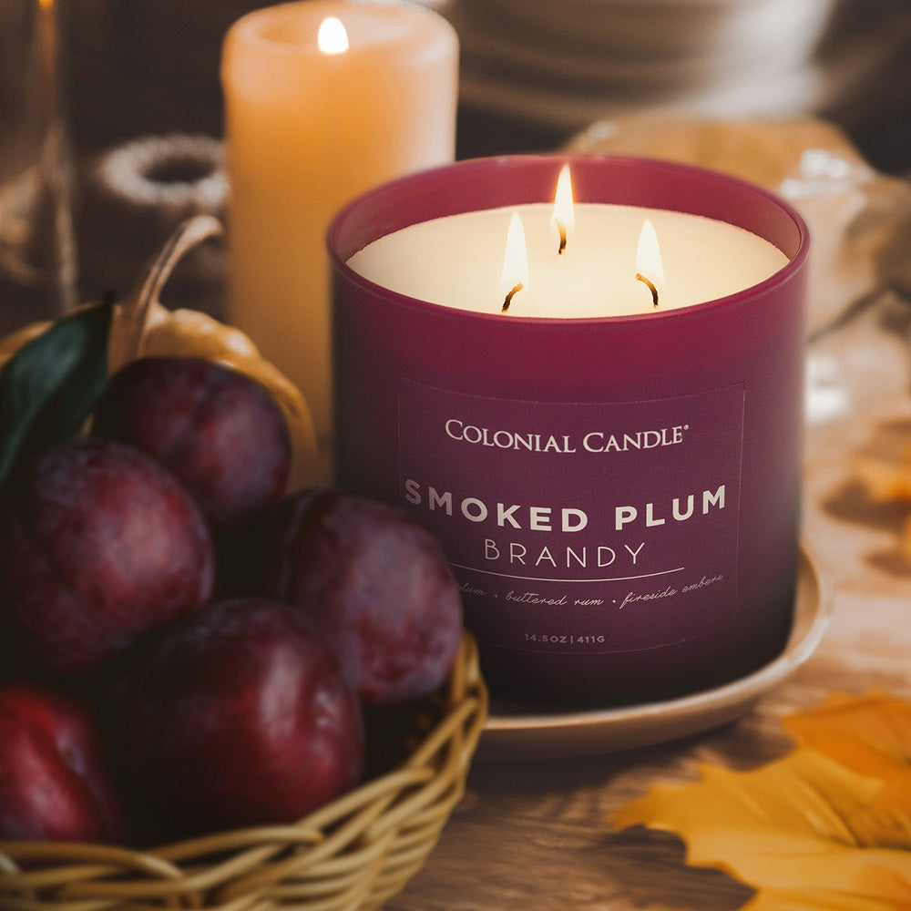 Smoked Plum Brandy Candle in Pop of Color Collection by Colonial Candle