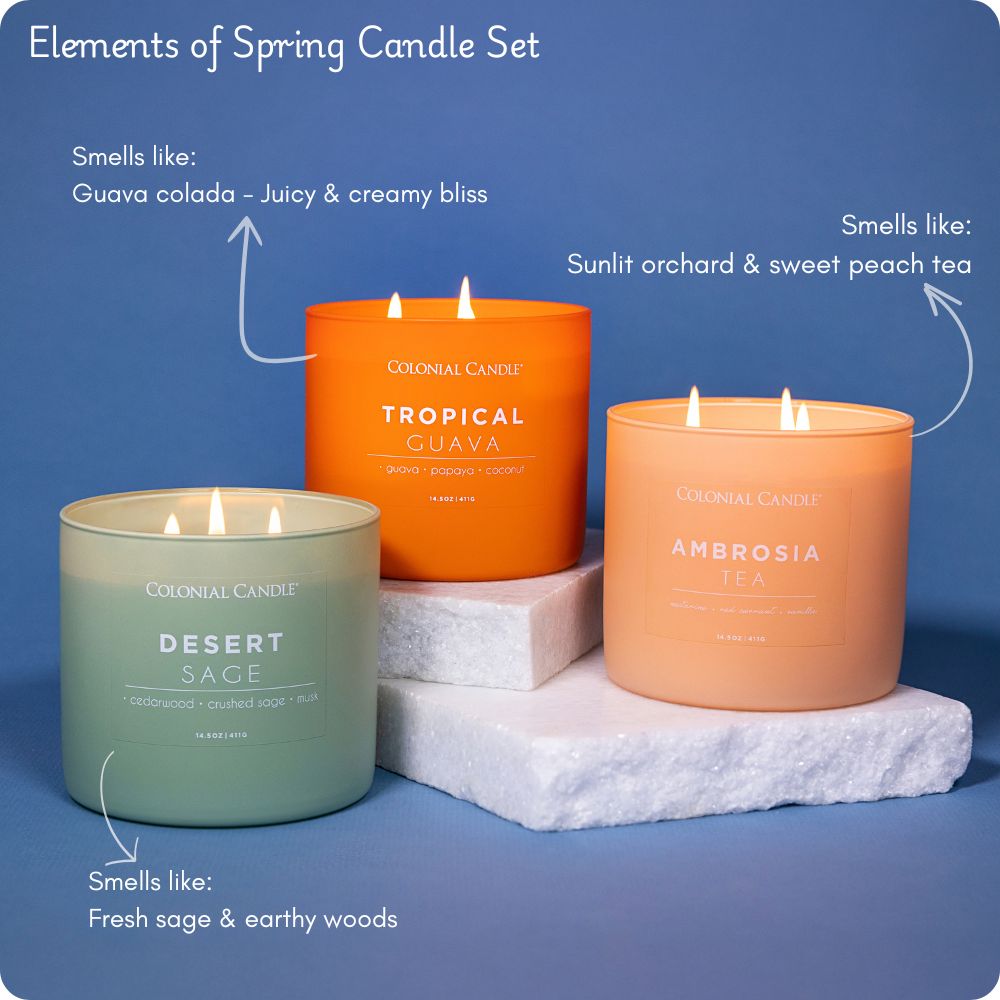 Elements of Spring Candle Set, 3 wick, 14.5 oz | Pop of Color ...